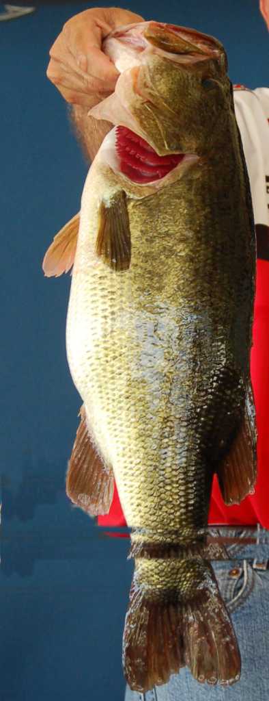 Oakley Big Bass Tour will put $150,000 On the Line at Lake Conroe