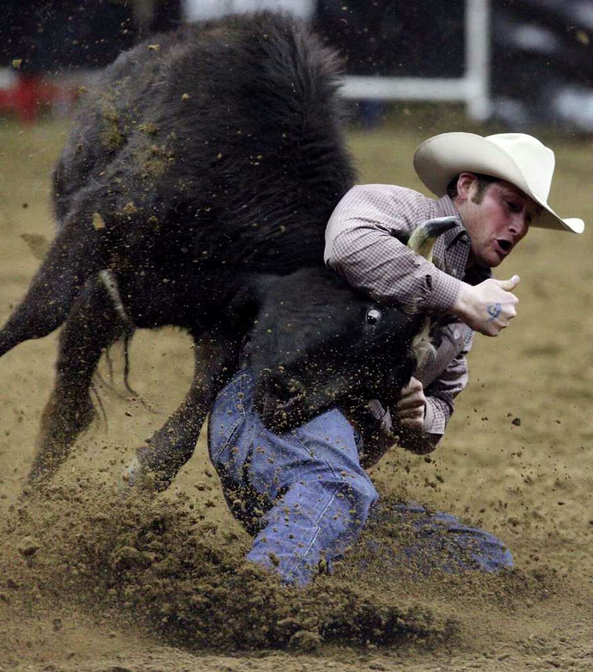 2010 Rodeo Performances