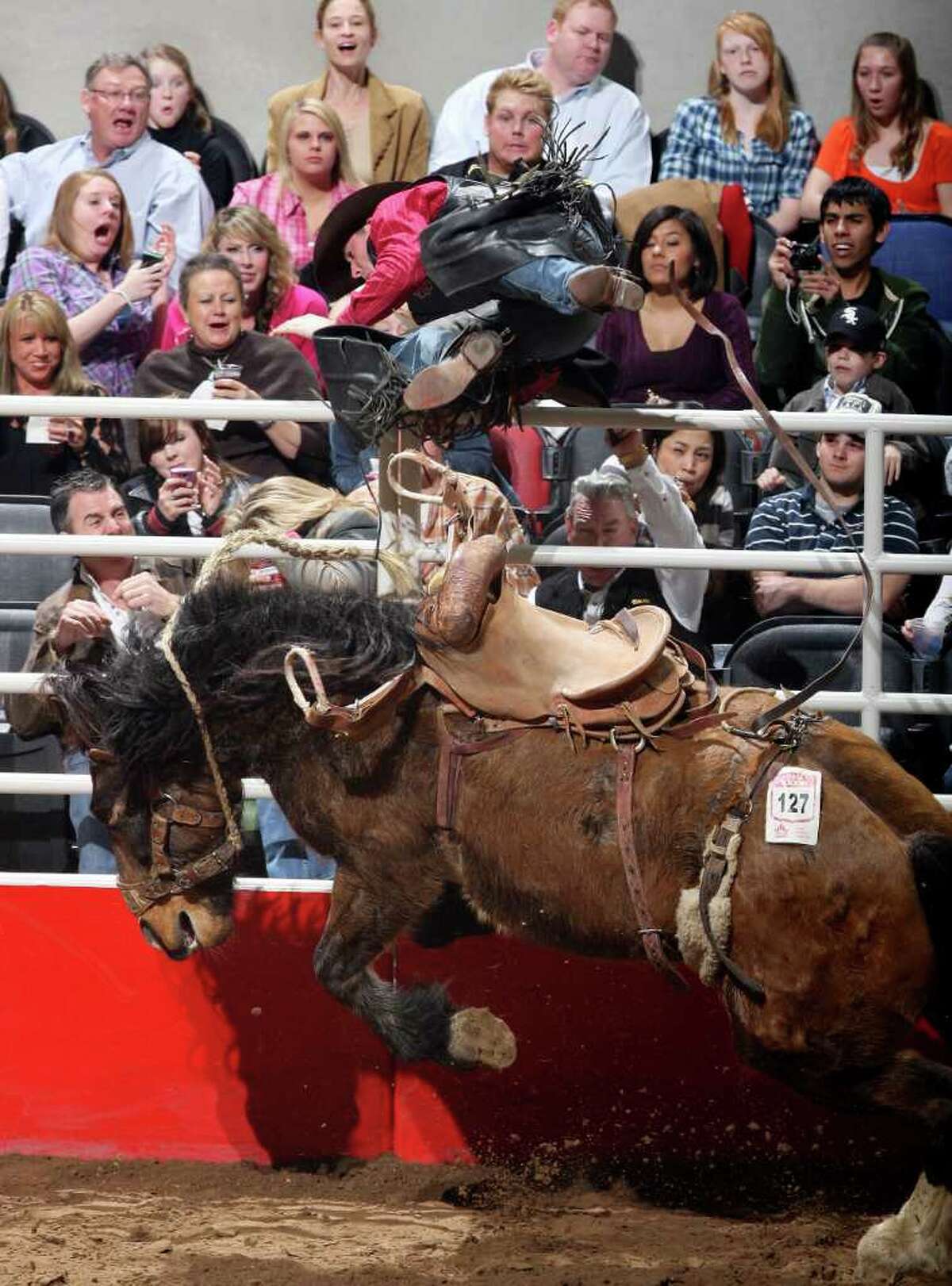 2010 Rodeo Performances