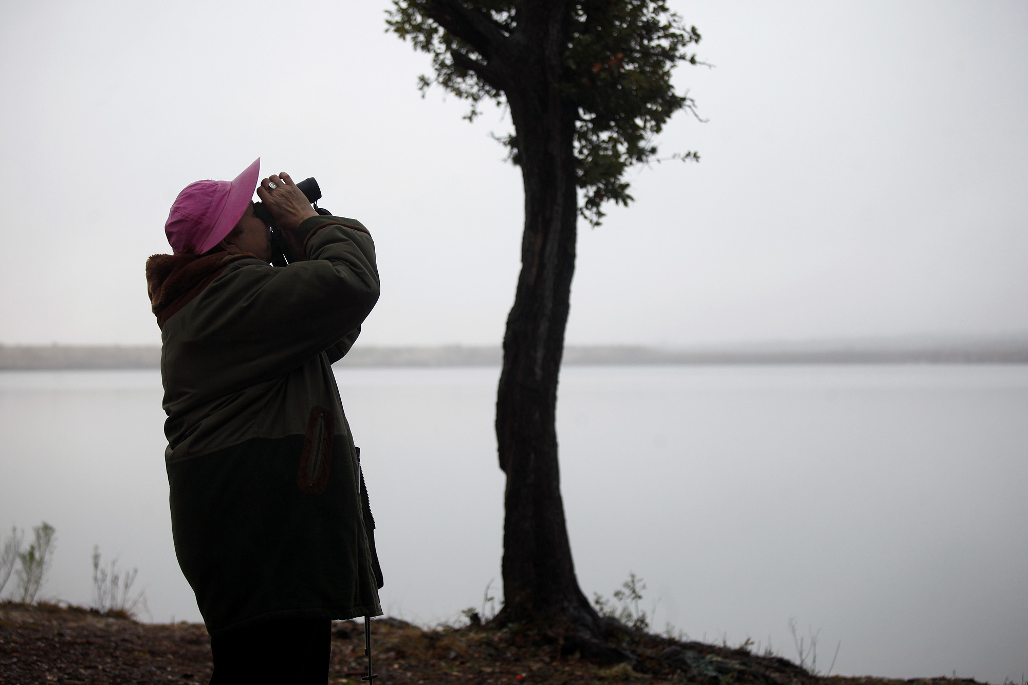 Watching birds: Good for the land