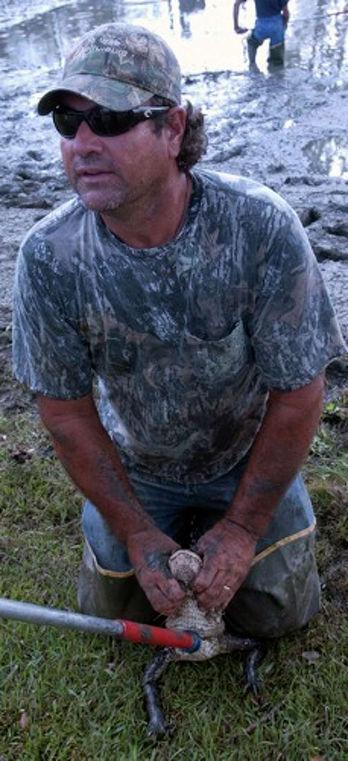 Hurricane Ike evacuated alligators go home from 'storm shelter'