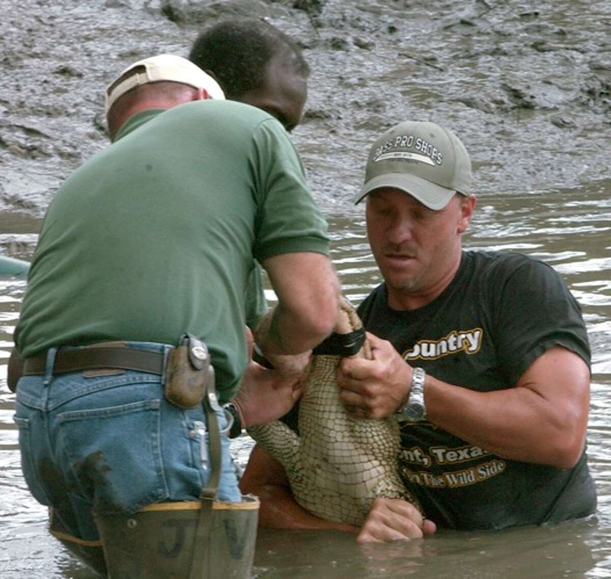Alligator hunting season opens in Texas