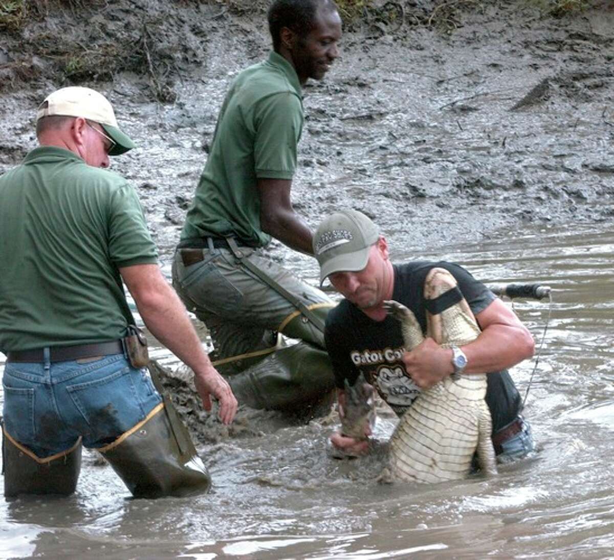 Alligator hunting season opens in Texas