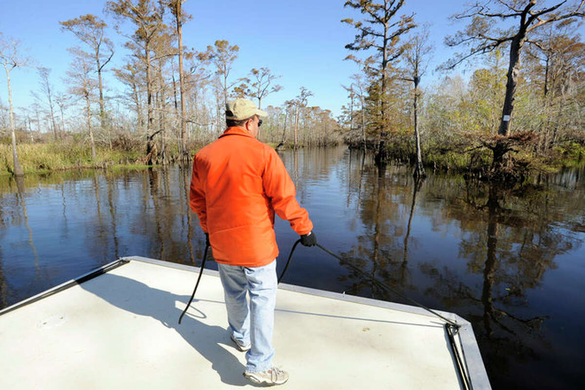 Buying back the Big Thicket
