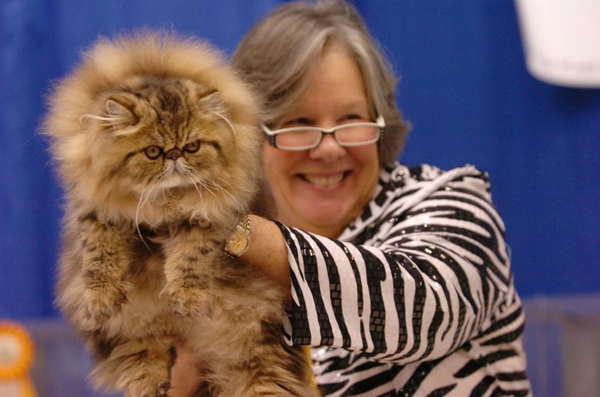 Coastwind Cat Club cat show