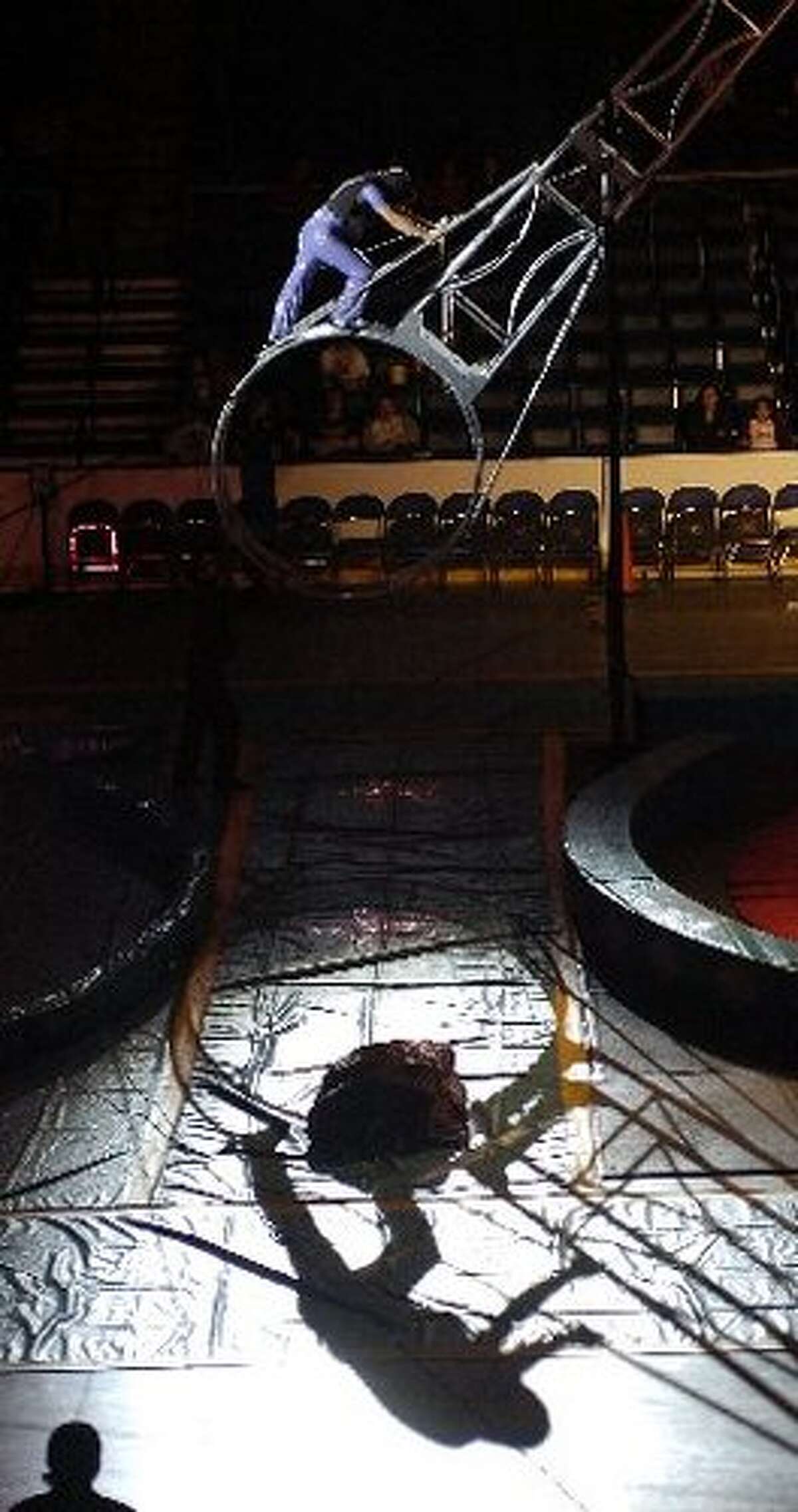 Circus Hollywood Shrine Circus comes to Beaumont