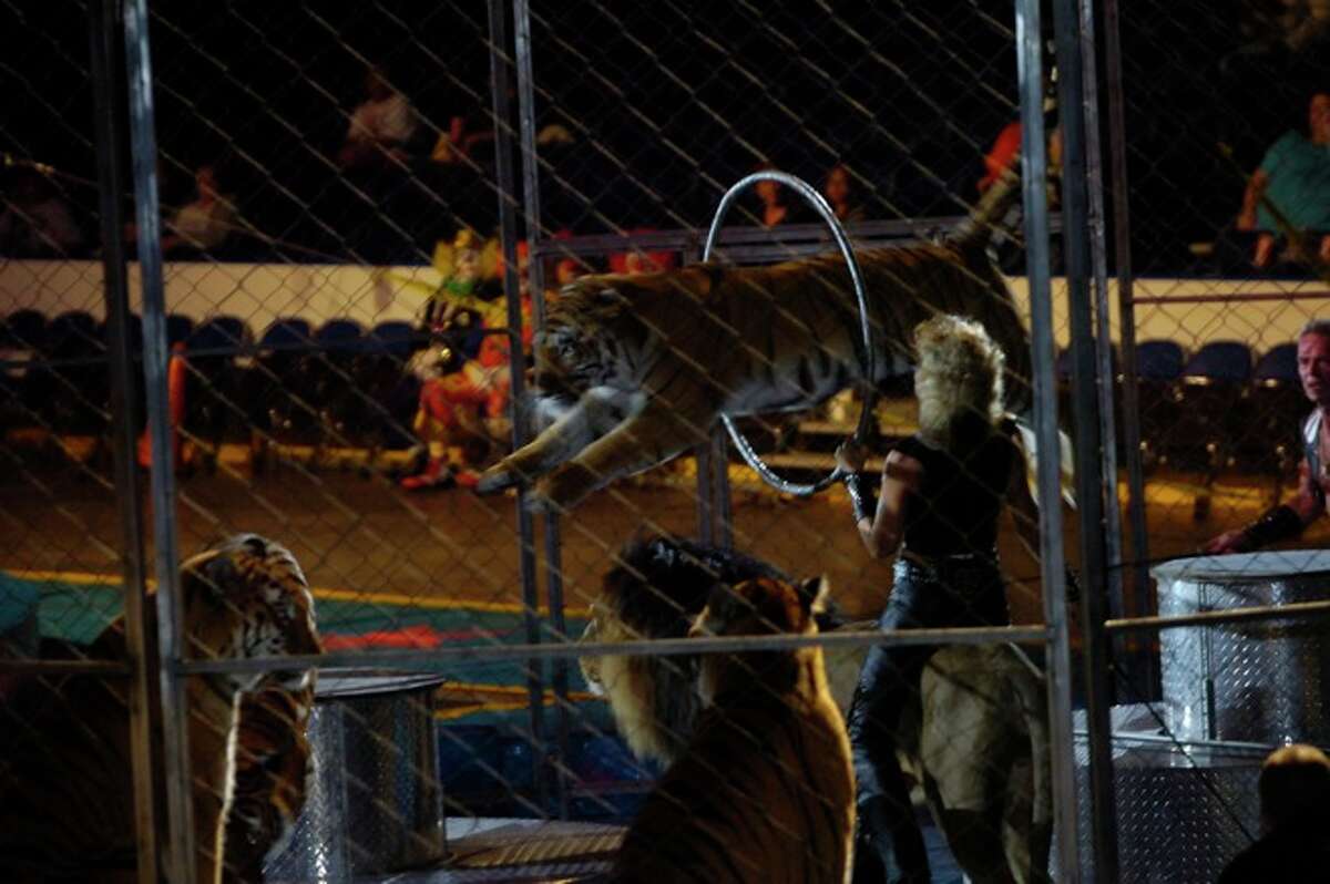 Circus Hollywood Shrine Circus comes to Beaumont