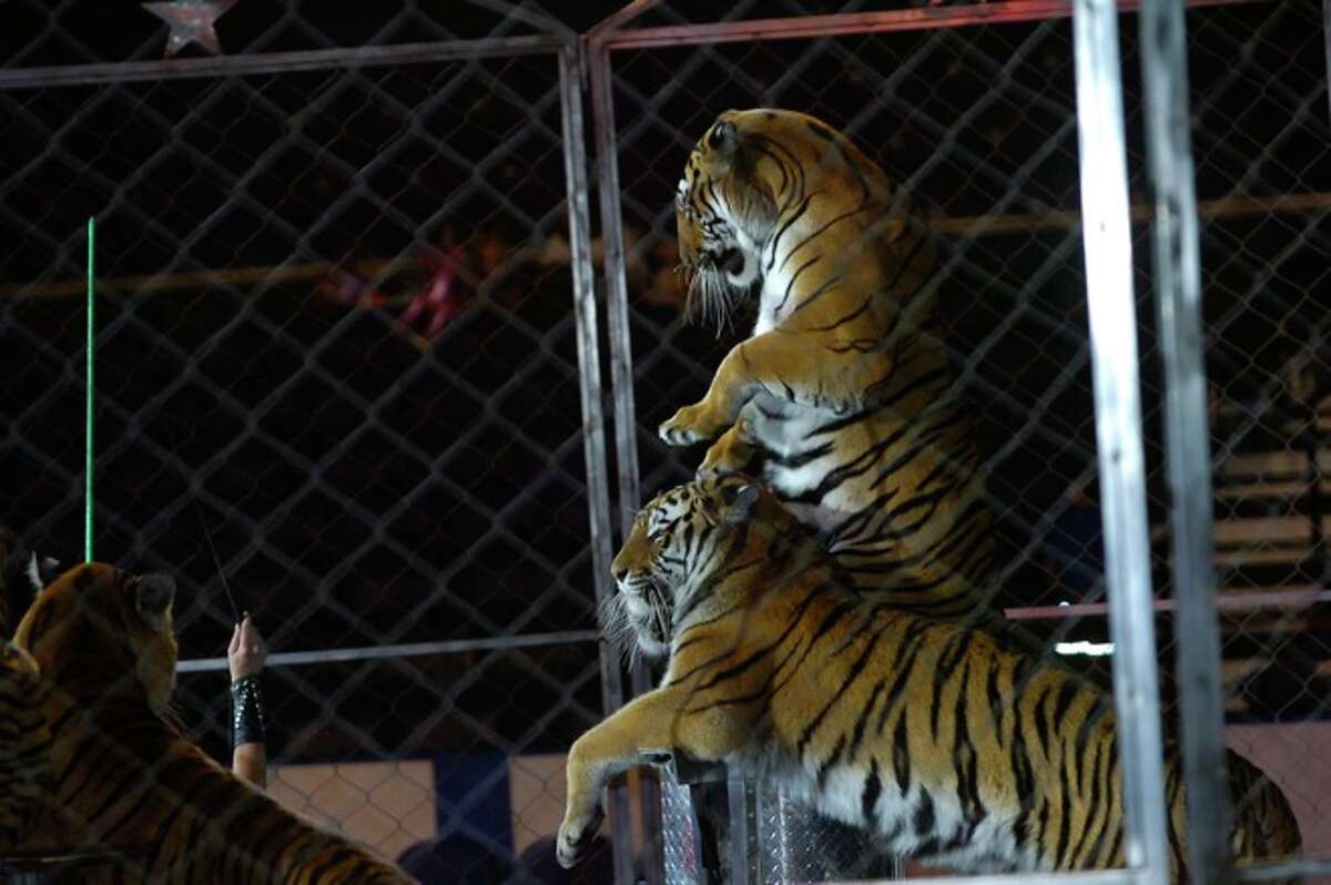 Circus Hollywood Shrine Circus comes to Beaumont