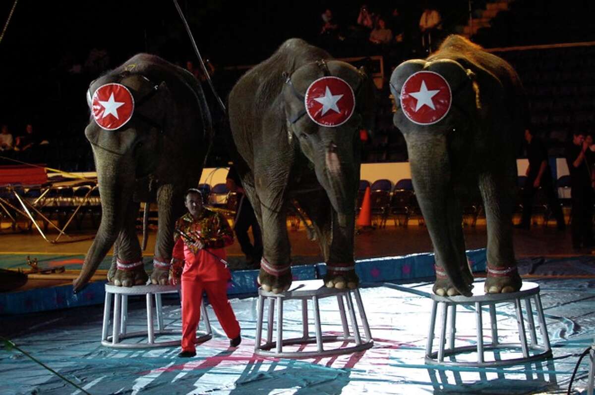 Circus Hollywood Shrine Circus comes to Beaumont