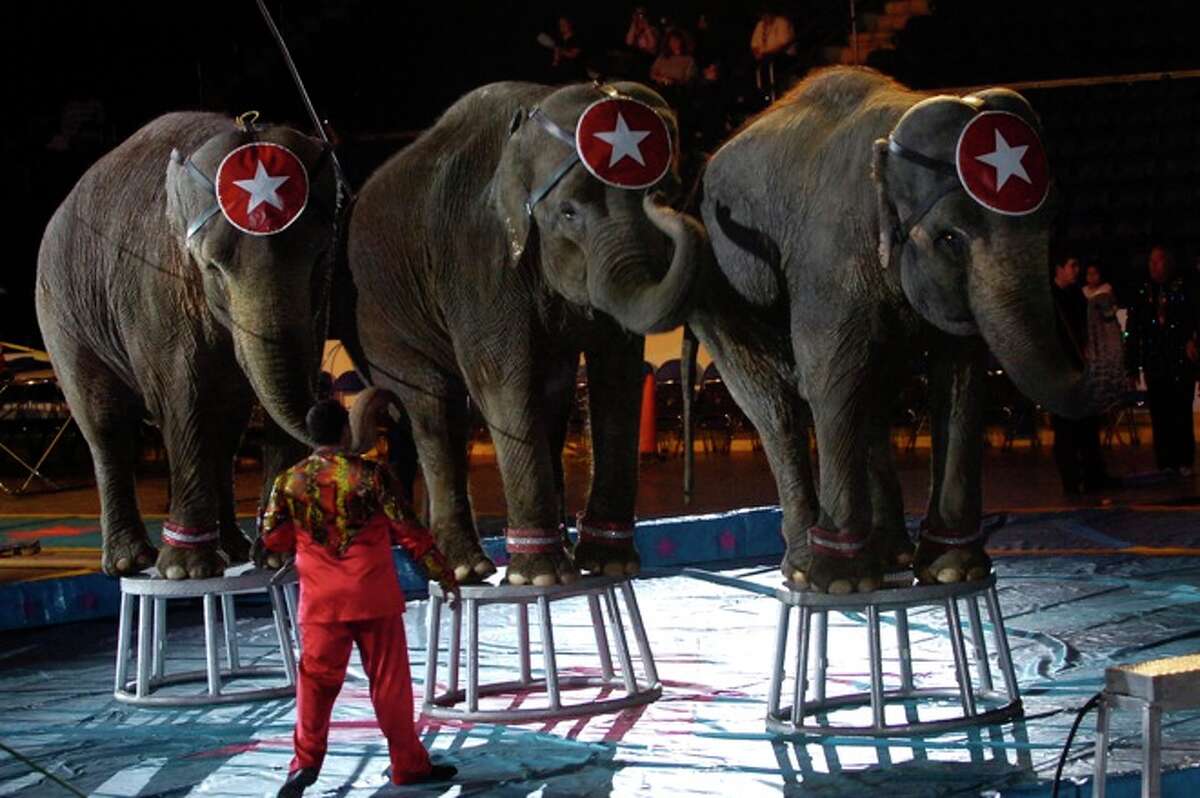 Circus Hollywood Shrine Circus comes to Beaumont