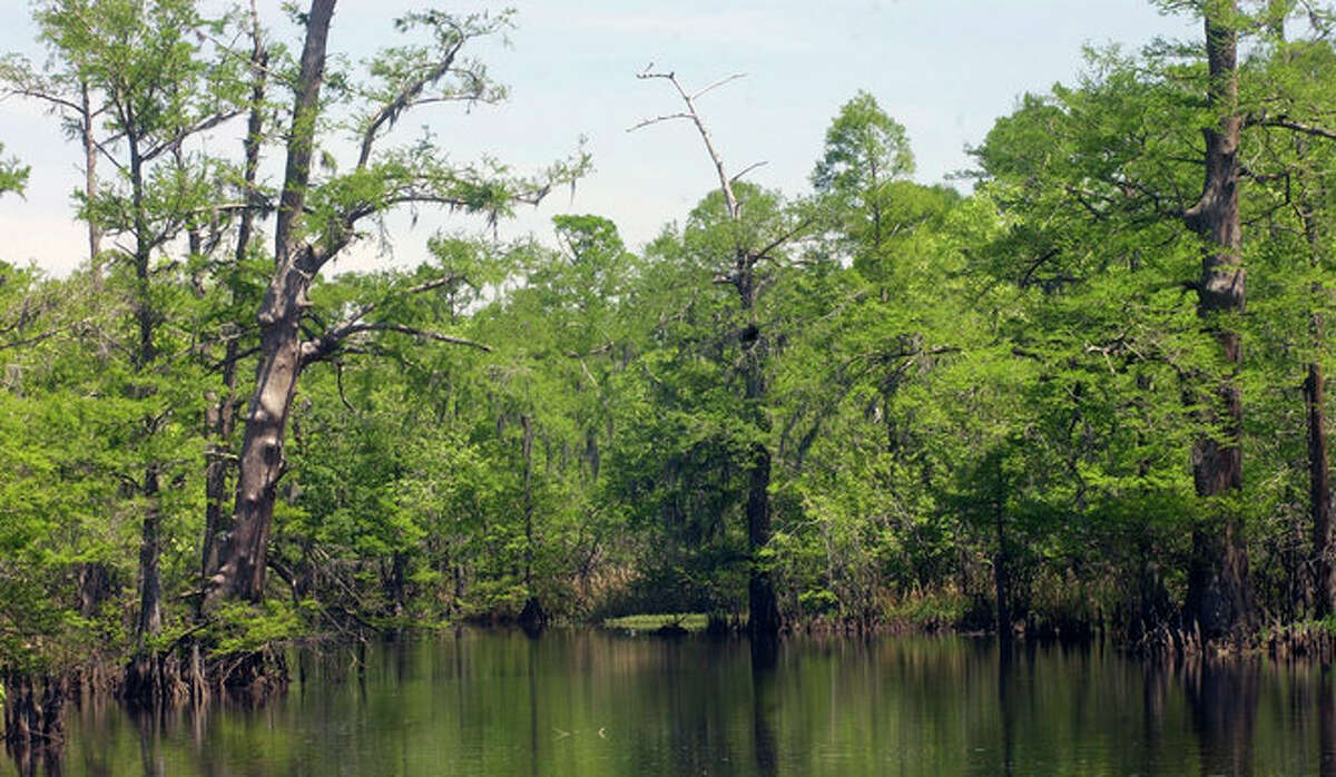 A tour of Ten Mile Creek aboard the Cardinal
