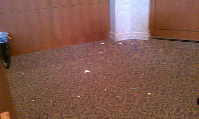 Falling plaster cancels meeting in Council chambers