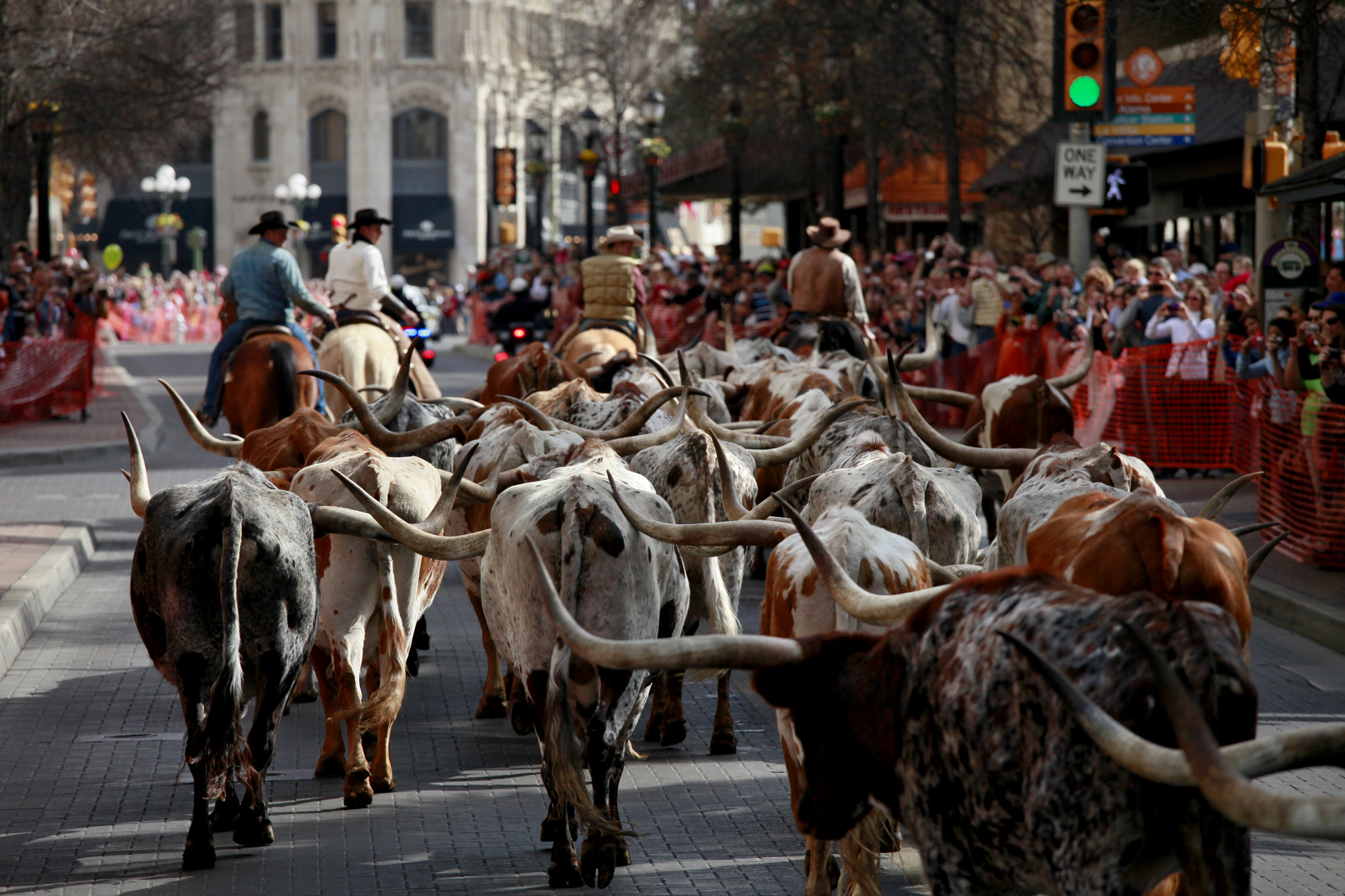 Rodeo lovers, gather 'round