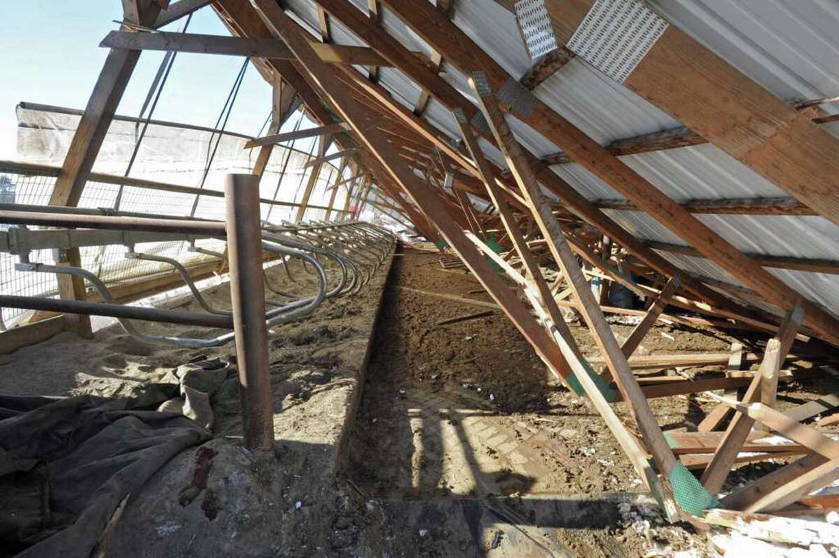 Barn collapse crushes at least 25 cows