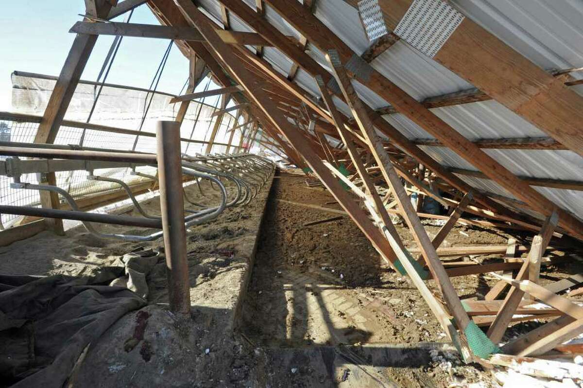 Barn collapse crushes at least 25 cows