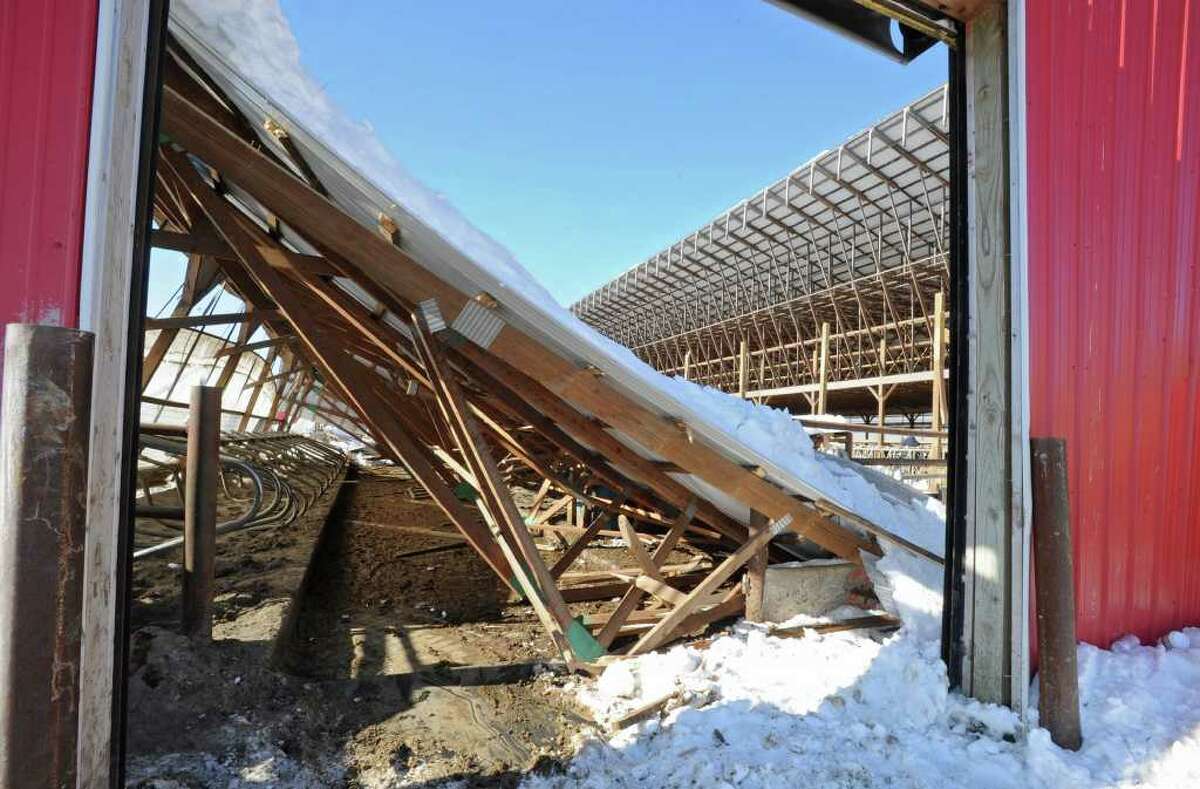 Barn collapse crushes at least 25 cows