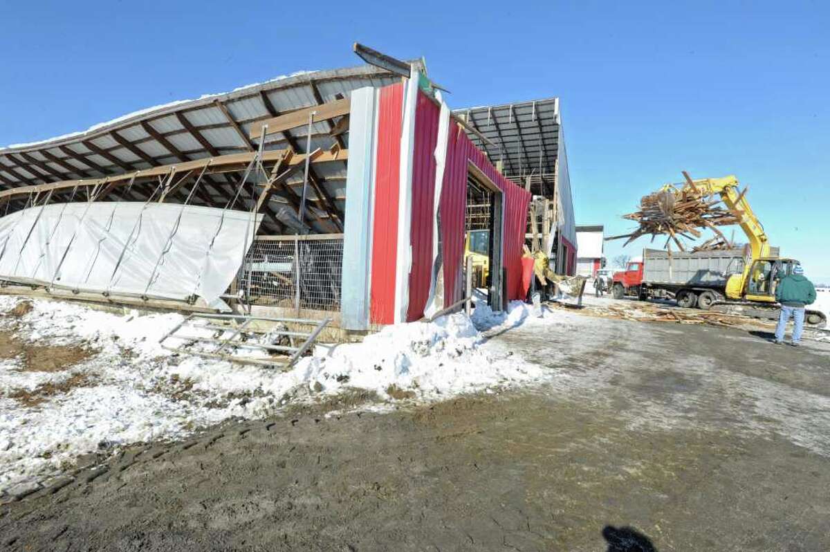 Barn collapse crushes at least 25 cows