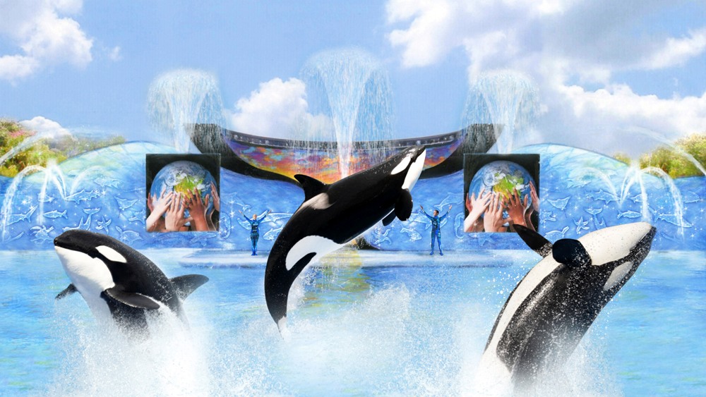 SeaWorld preps new whale show