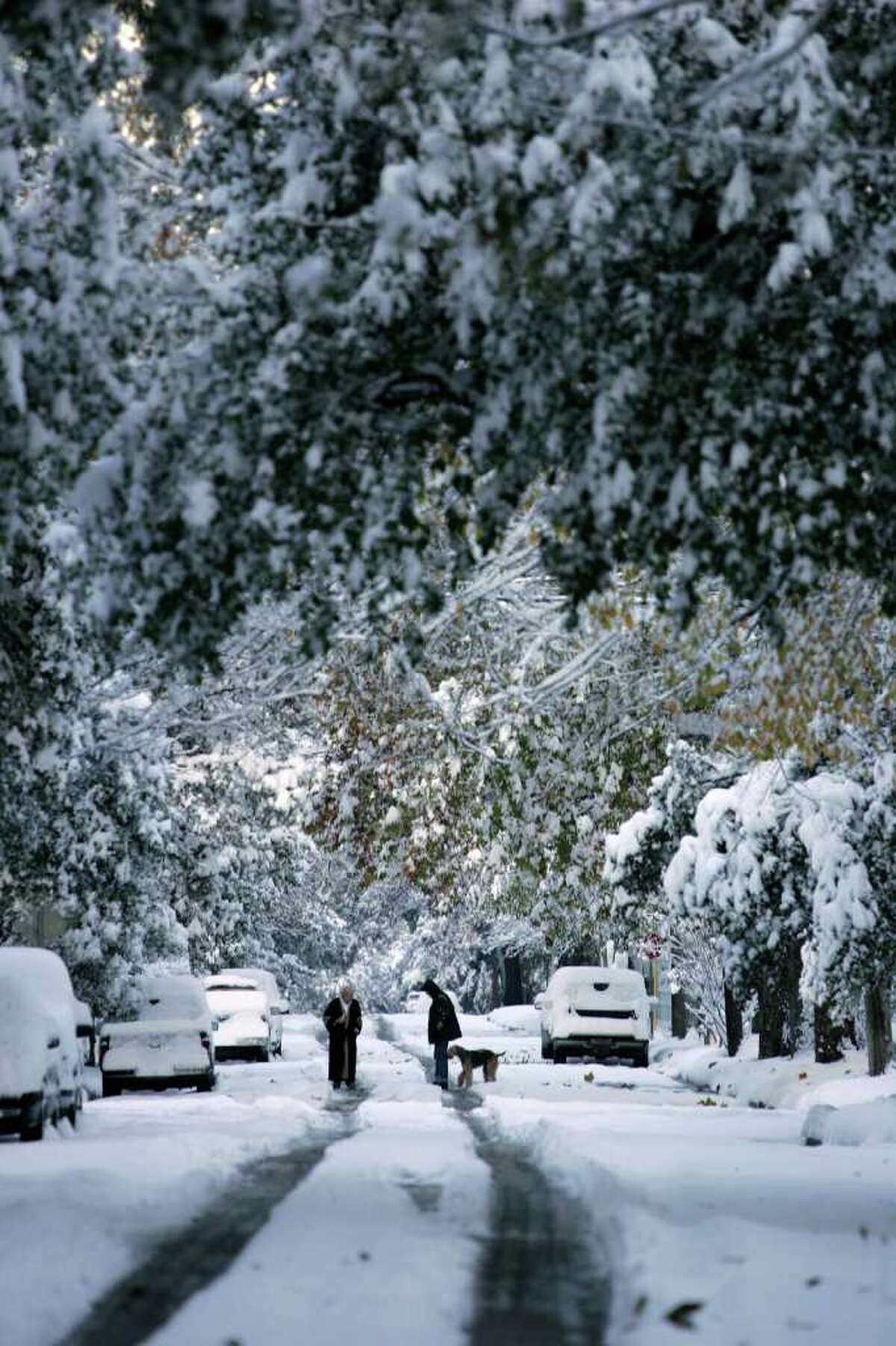 2004, the year South Texas had a white Christmas