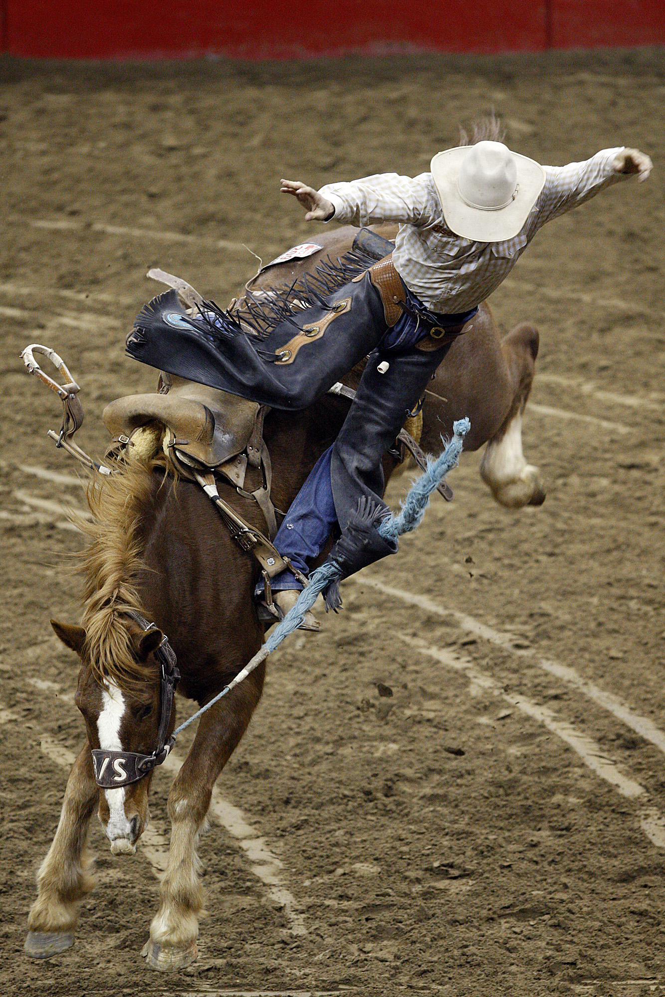 S.A. boasts top indoor rodeo again
