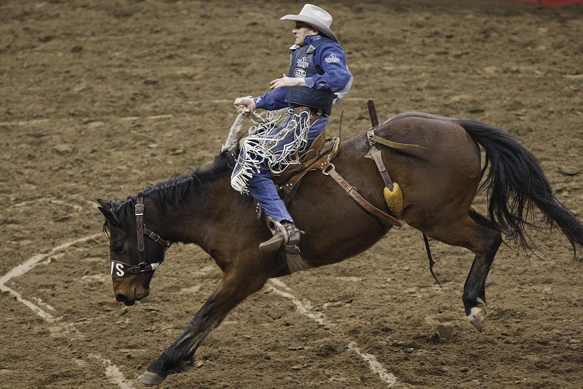 Day 4 of San Antonio Stock Show & Rodeo