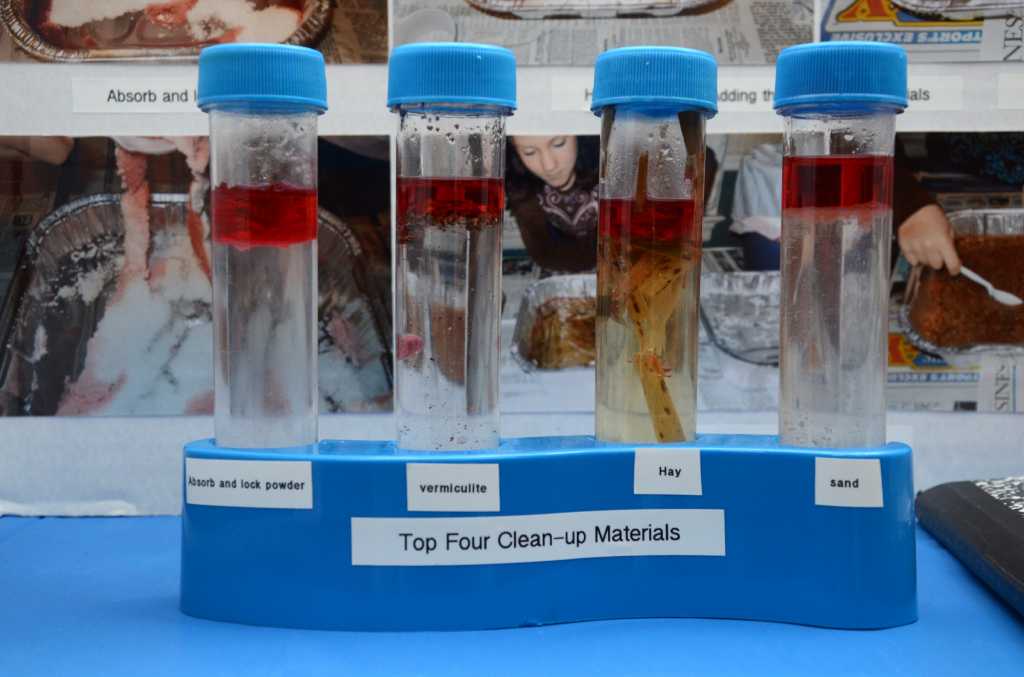 Oil Spill Science Fair Experiment Oil Spill Study Nets Students First