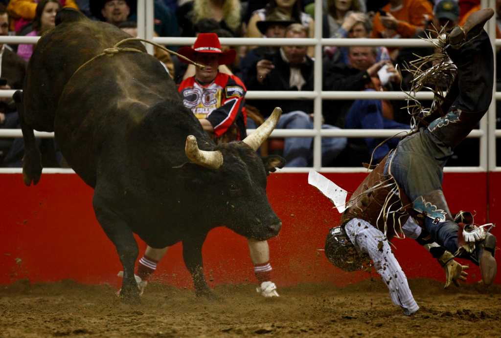 Day 6 of San Antonio Stock Show & Rodeo
