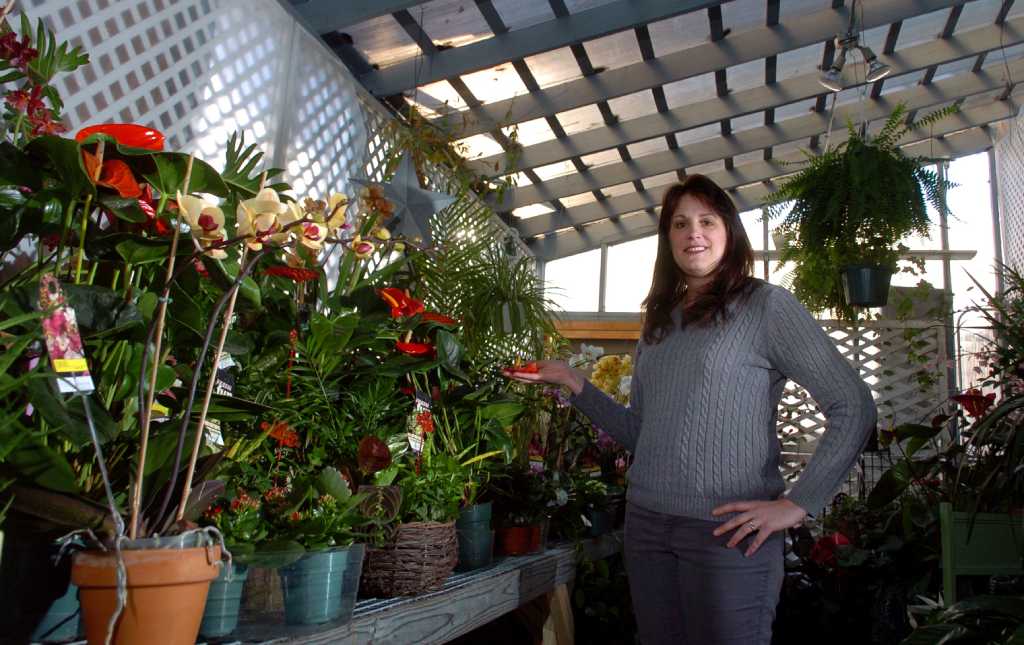 Fruits And Flowers Bridgeport | Best Flower Site
