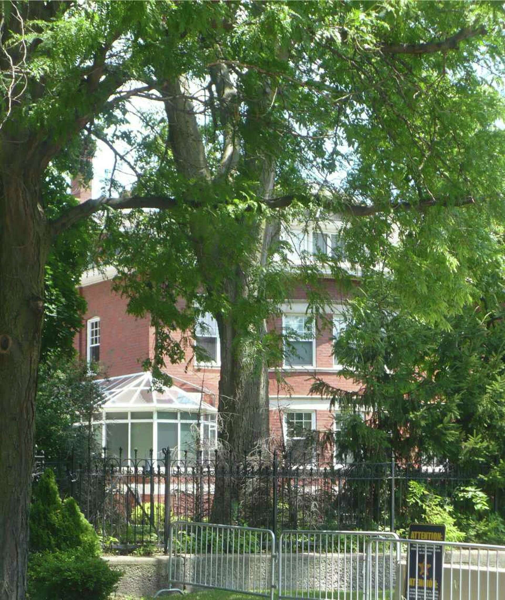 Mr. Obama's Neighborhood