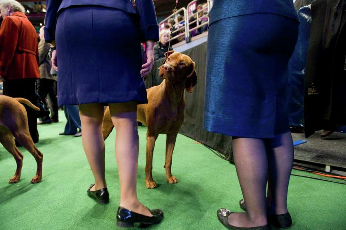 Detailed preparation is key at Westminster