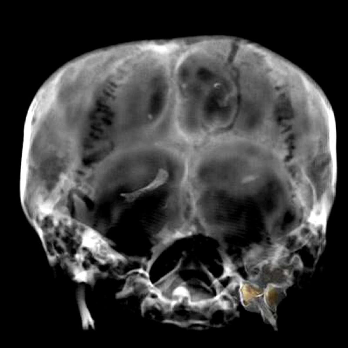 Hello, Tut. Carter enters the king's tomb, Feb. 16, 1923