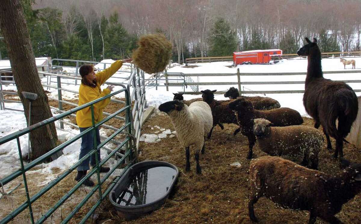 Small farmers need help to survive