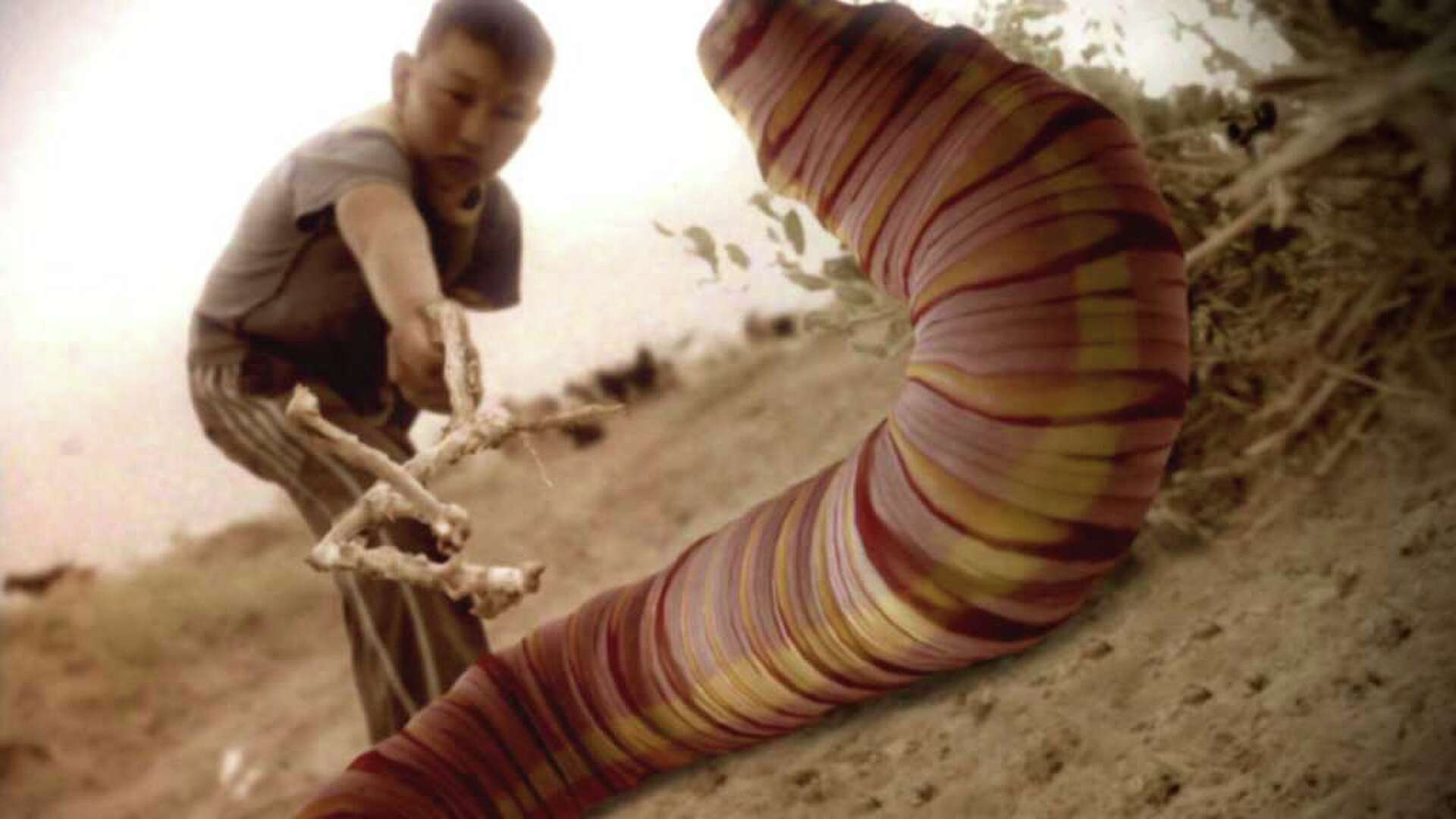 Nature lover shows wild side on TV