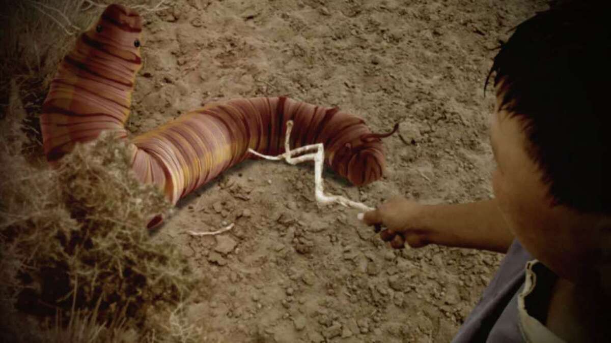 Nature lover shows wild side on TV