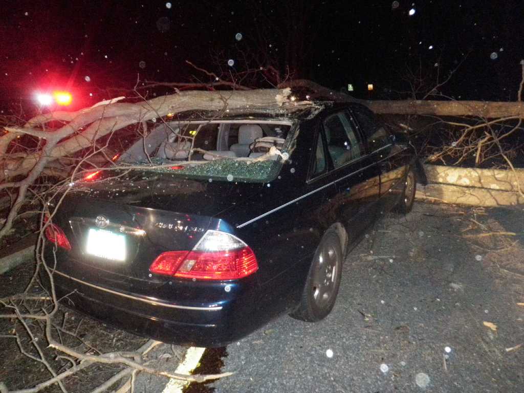 Woman, infant escape injuries as tree crashes on car in Westport