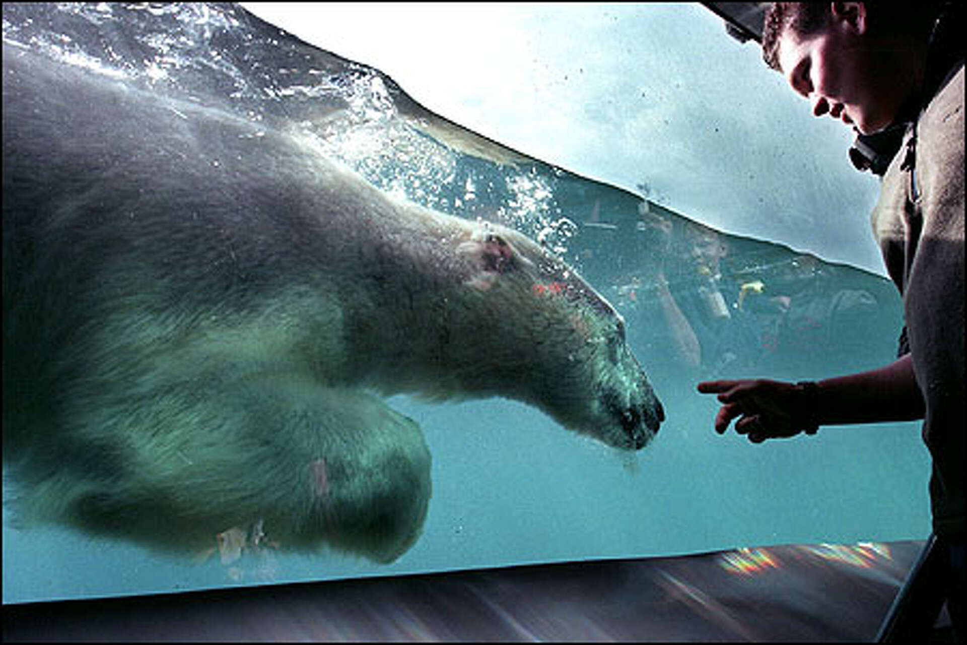 An excellent point: Tacoma’s Point Defiance Park an emerald island in ...