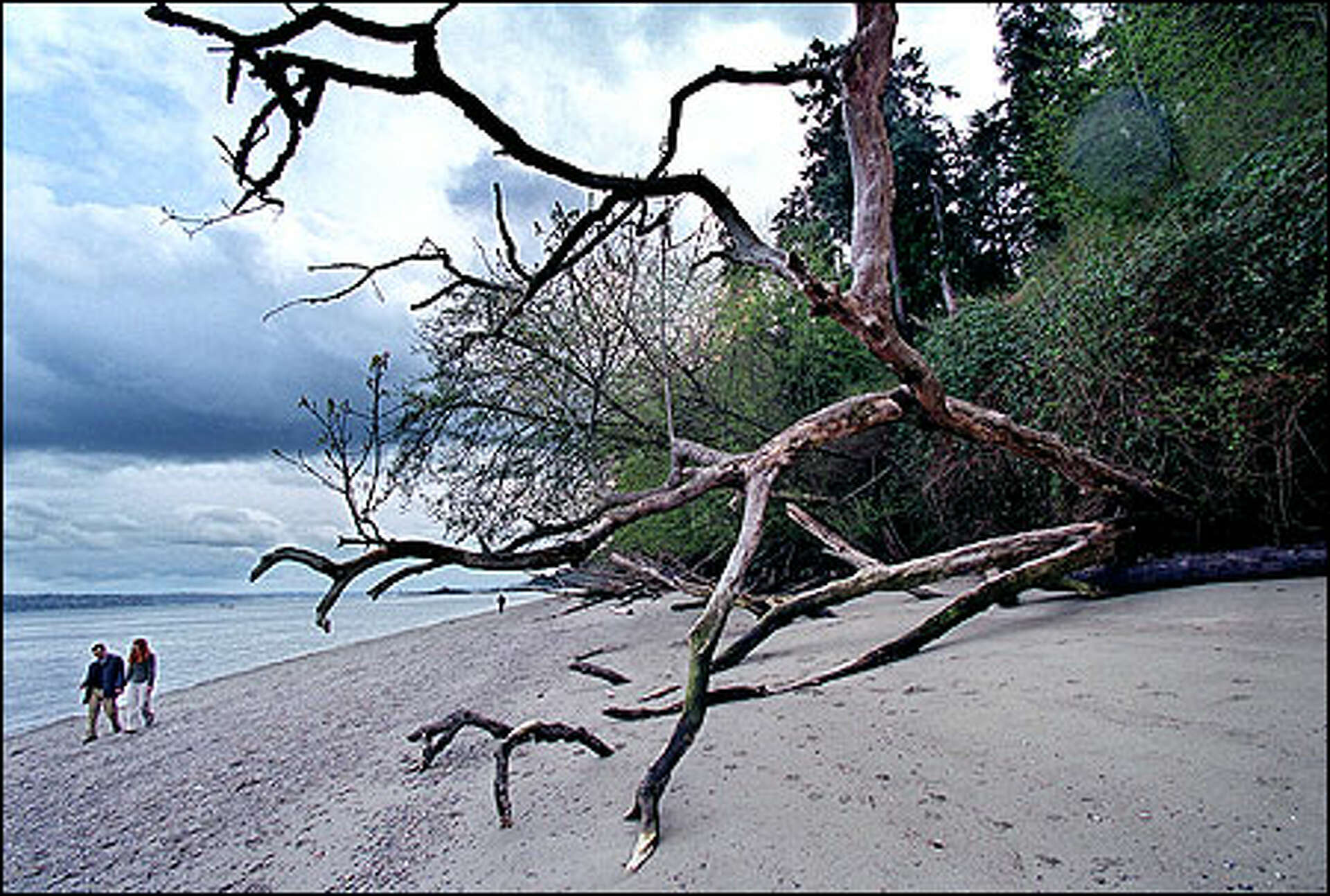 An excellent point: Tacoma’s Point Defiance Park an emerald island in ...