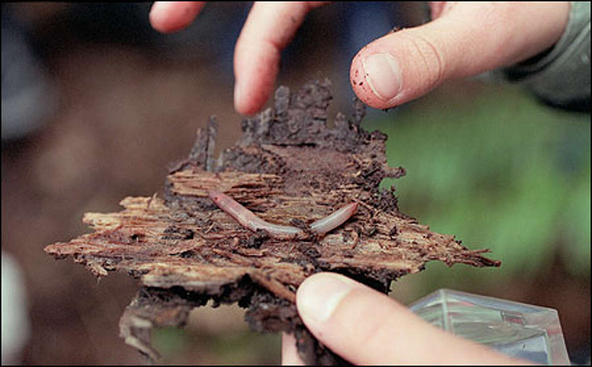 Taking nature's course