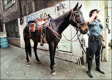 Globalization protesters get their point across at summit