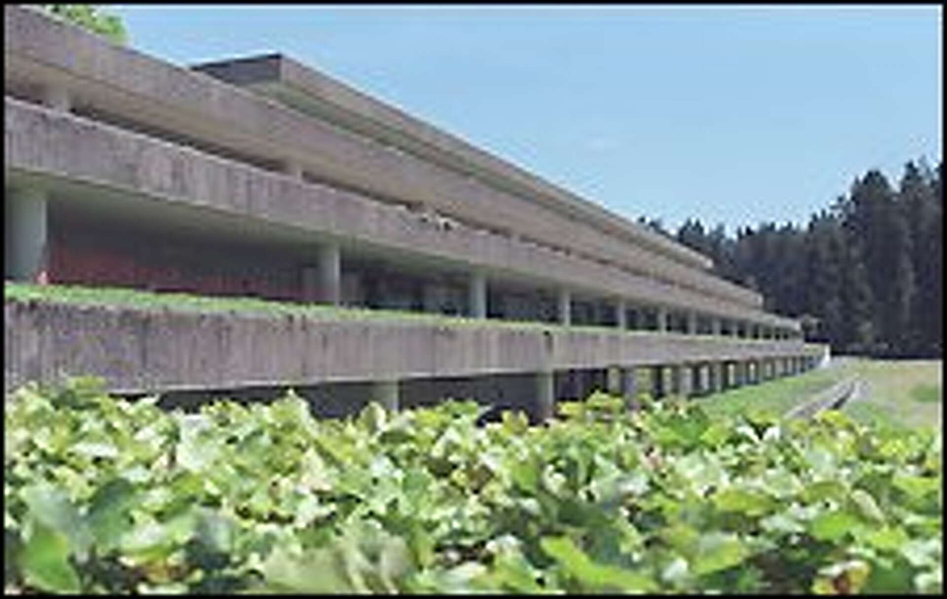 On Architecture: Weyerhaeuser headquarters lauded