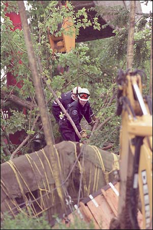 Tree being moved falls, kills crane operator; 2 hurt