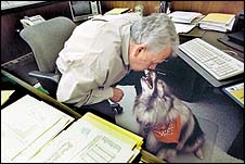 The benefits of BonLife