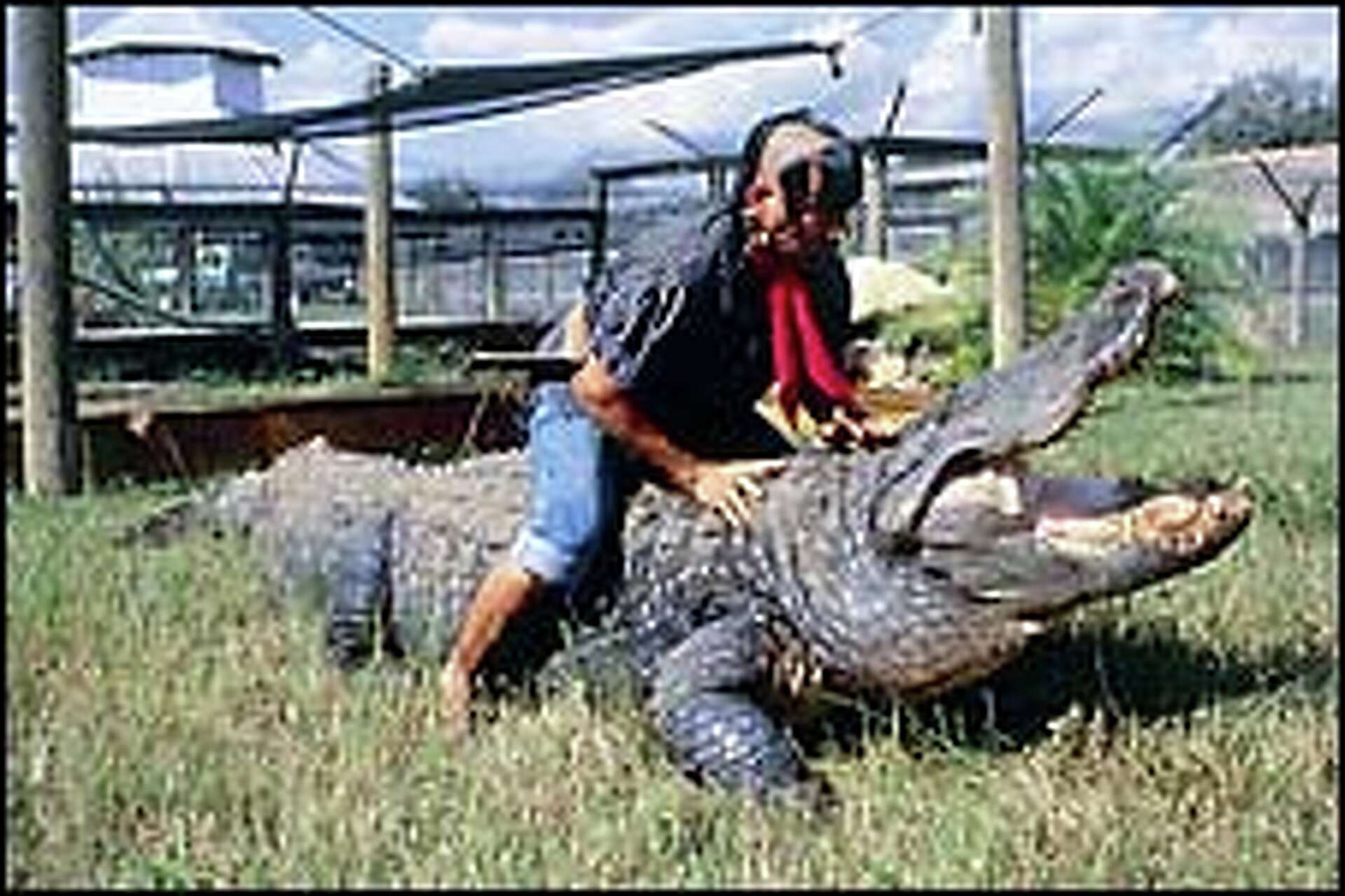 The wildlife stars in the Seminole swamp safari in the Florida Everglades