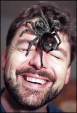 Zookeeper strives to give reptiles a more friendly reputation