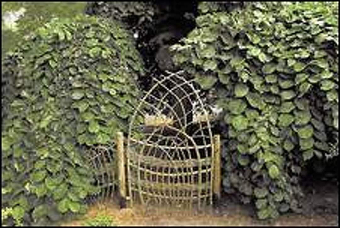 Art from trash appeals to builder of wattle fences