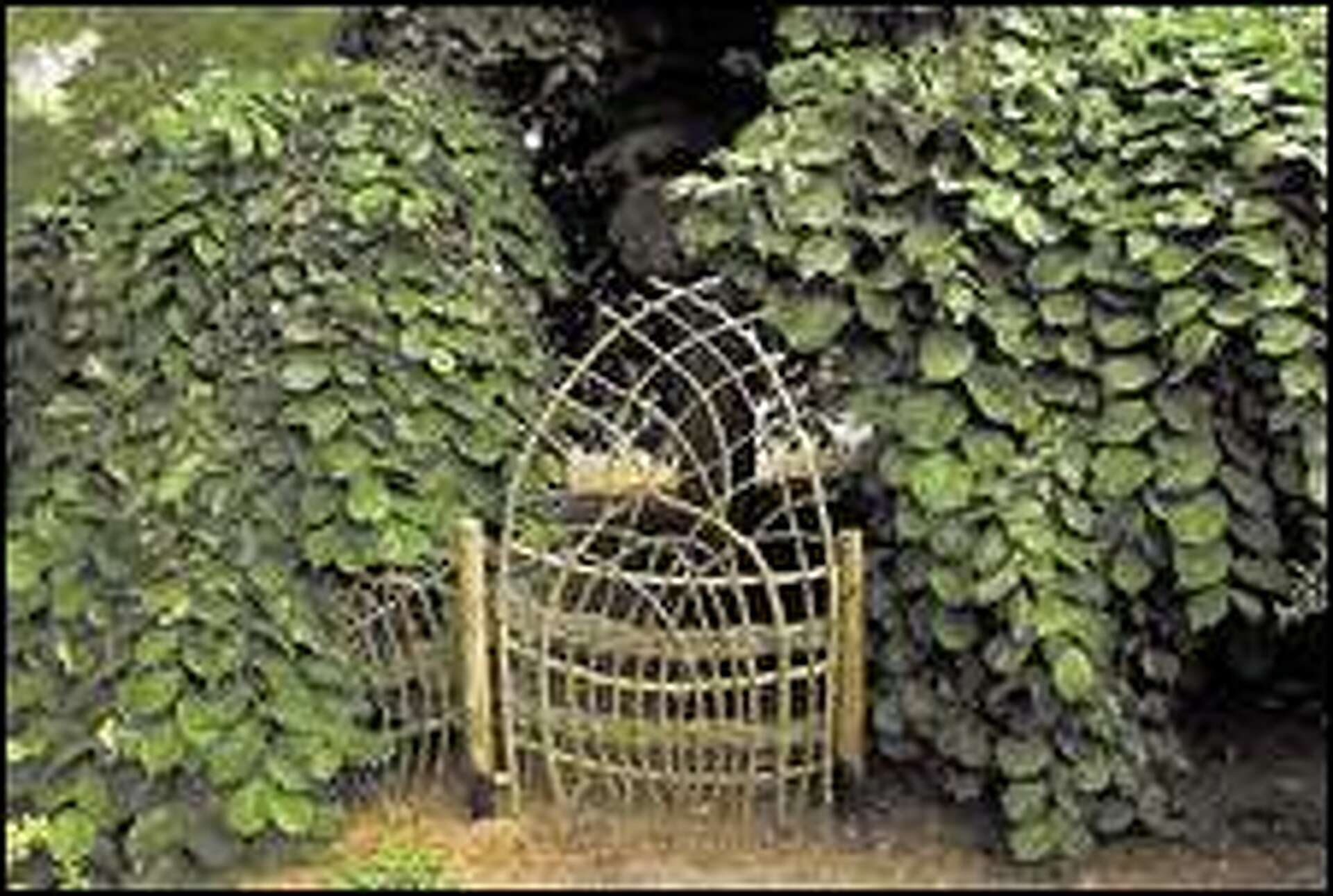 Art from trash appeals to builder of wattle fences