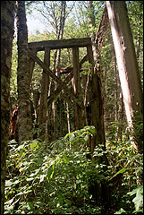 Hike of the Week: Graze on views and history year-round on Grass Mountain