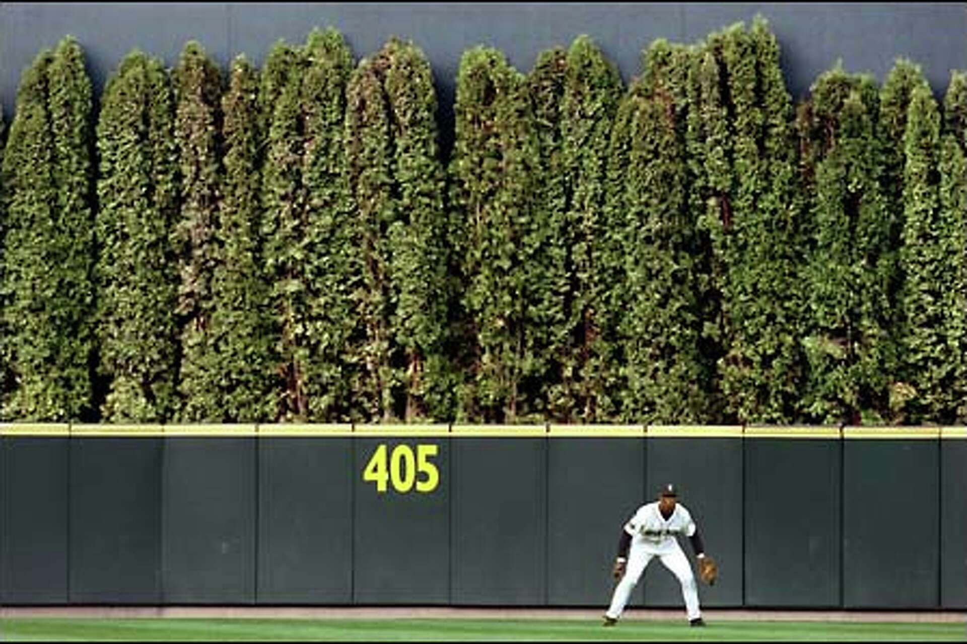 Divide and conquer with a green screen of hedges