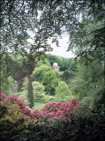 Local displays mirror flora of England