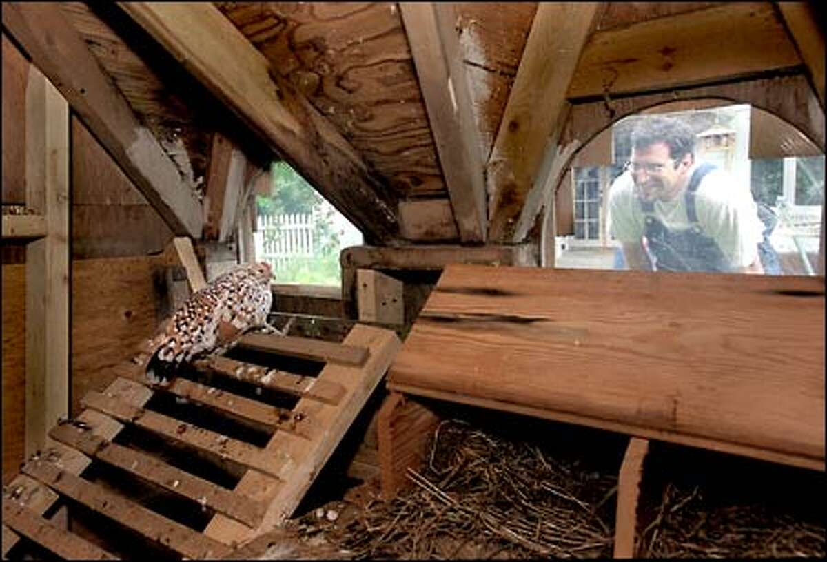 'Chickeneers' pack poultry classes and build trendy coops for backyard ...